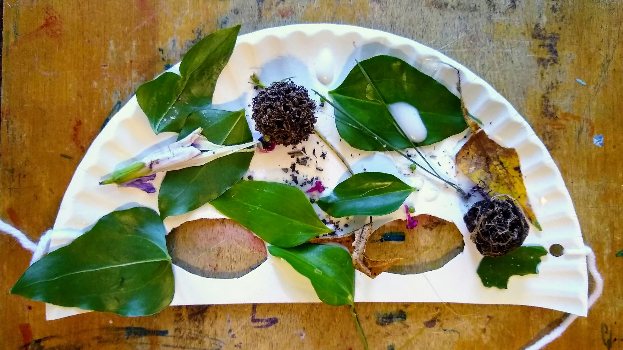 Nature Masks – Jack of All Trades