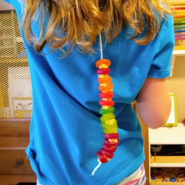 STEAM: Skeletal Study – Jack of All Trades