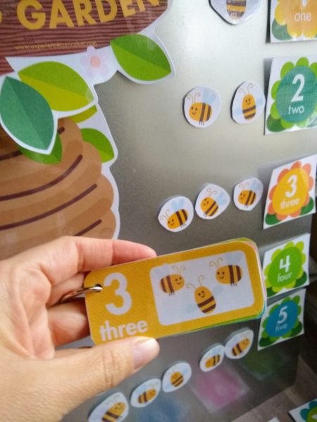 All About Bees – Jack of All Trades