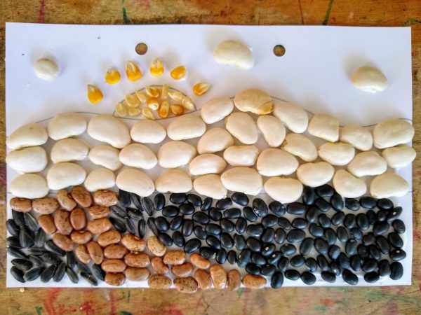 Seed Mosaic – Jack of All Trades