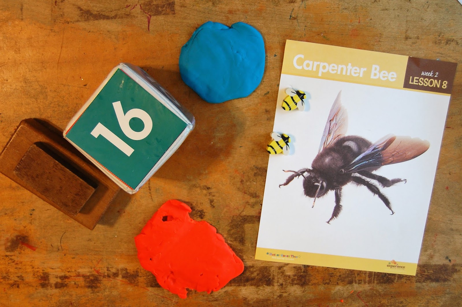 All About Bees – Jack of All Trades