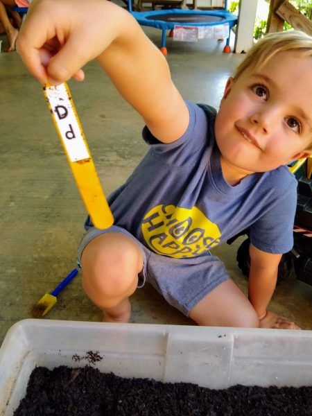 Dirt Box Learning Activities – Jack of All Trades
