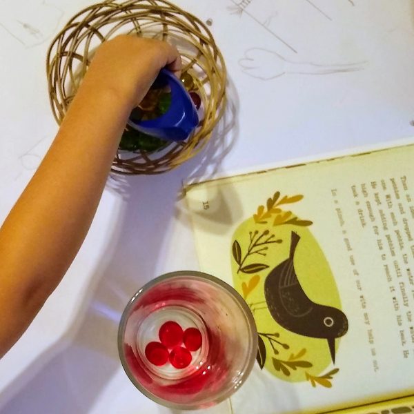 The Crow and the Pitcher Activities – Jack of All Trades